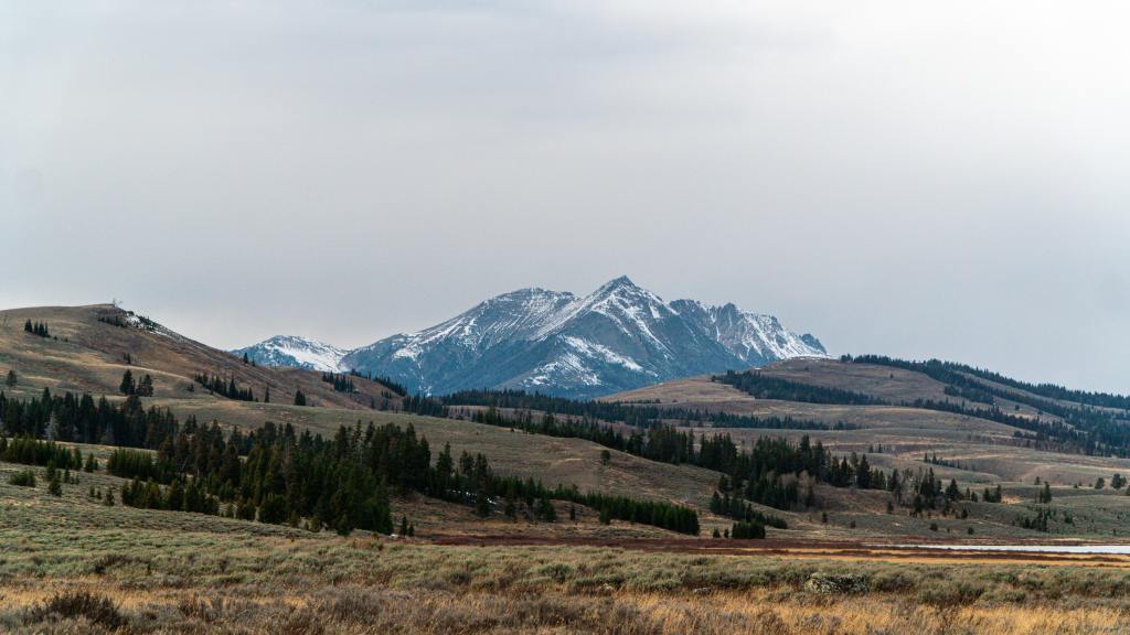 10 ways to celebrate National Park Week in your middle school classroom ...