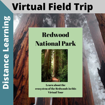 Redwood National Park Virtual Tour - Just Add H2O