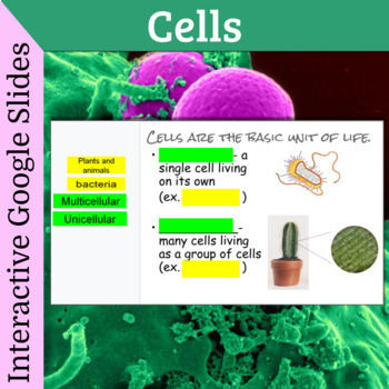 Cells Interactive Google Slide Show - Just Add H2O