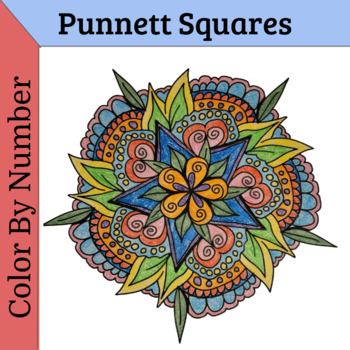 Punnett Squares PDF Color By Number - Just Add H2O