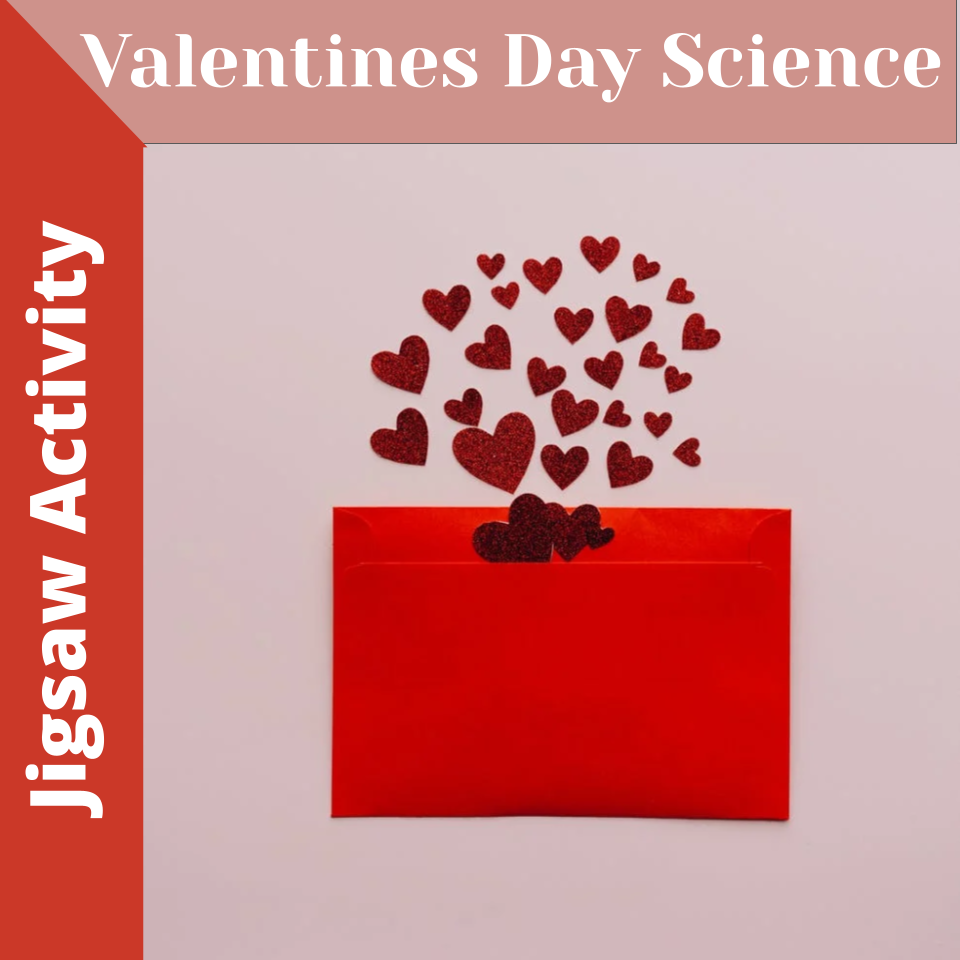The Science of Valentine's Day - Jigsaw Activity for Middle School ...