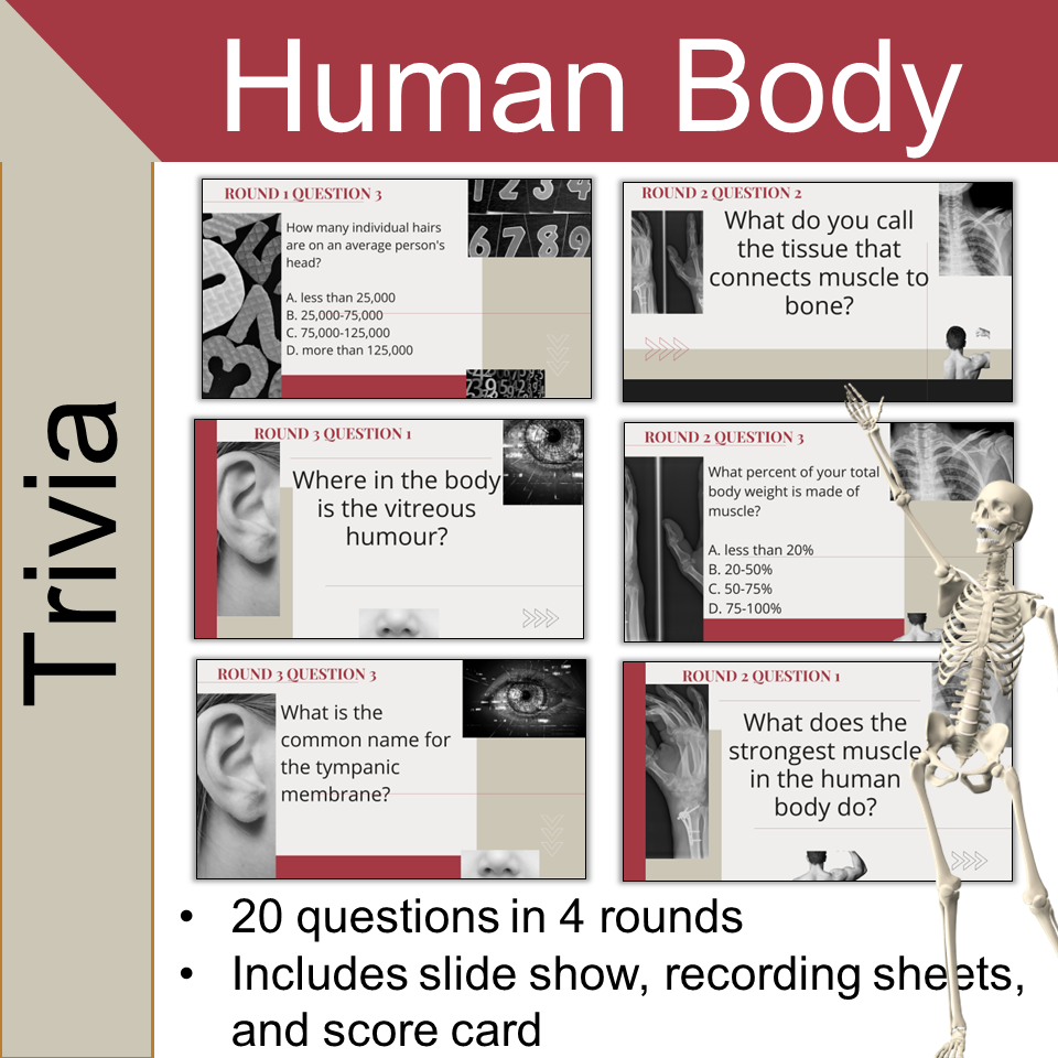 Human Body Trivia Game for Middle School - Just Add H2O