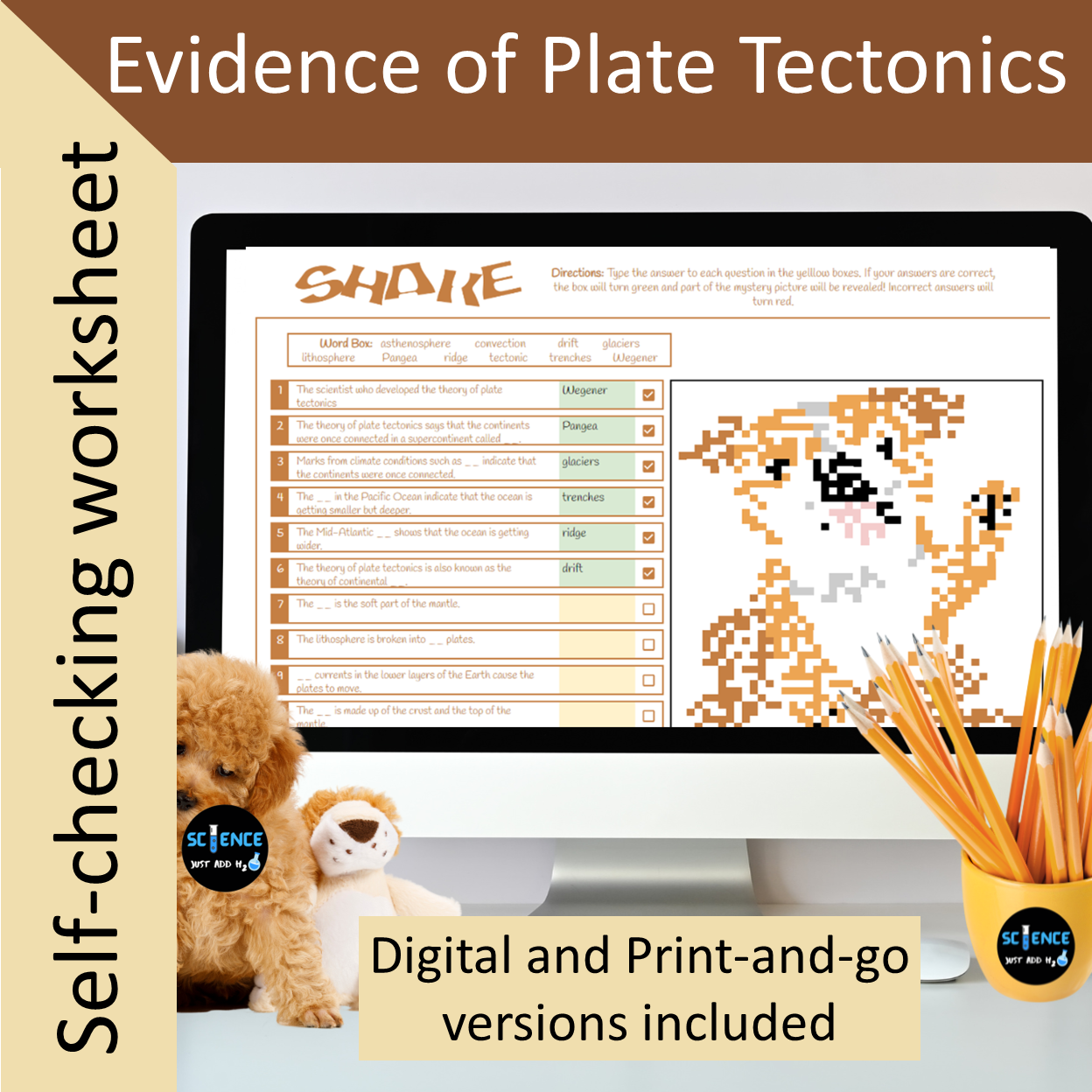 Evidence of Plate Tectonics Self Checking Worksheet - Just Add H2O