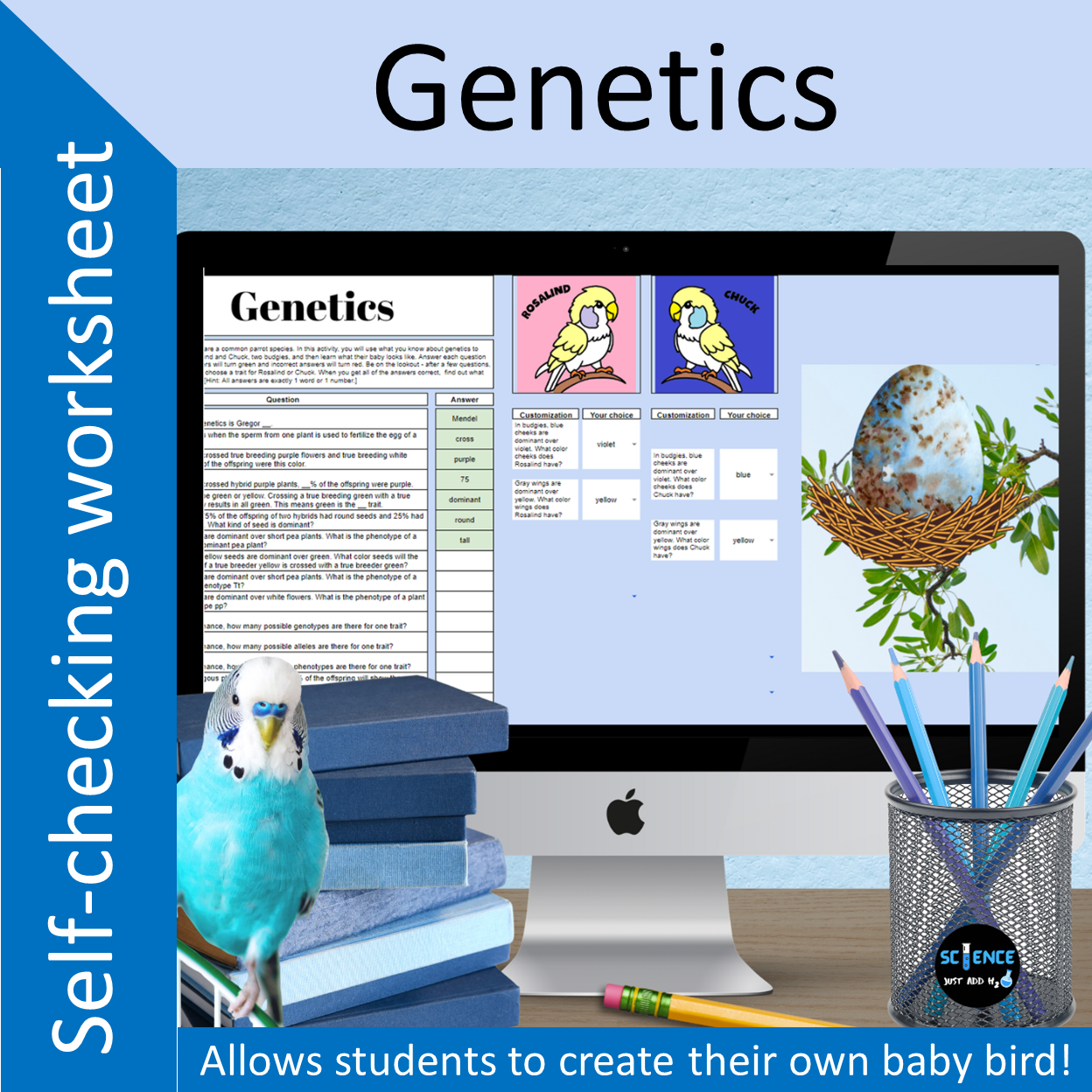 Genetics self checking worksheet and create-your-own baby bird! - Just ...
