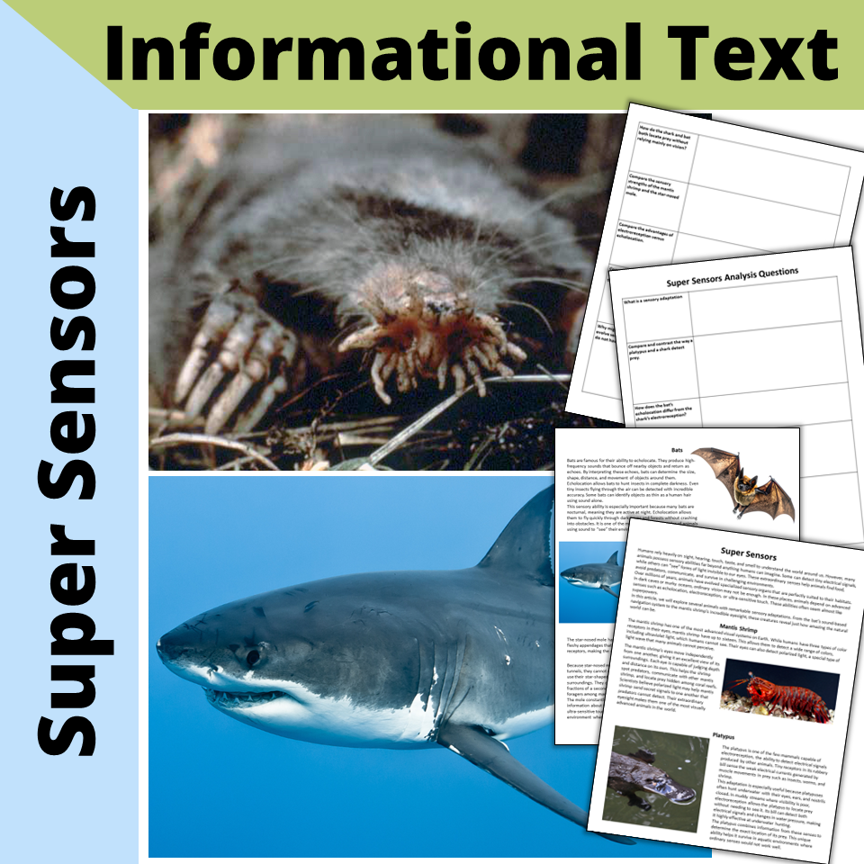 Super Sensors Informational Text and HOTS Q Sub Plan Enrichment - Just ...